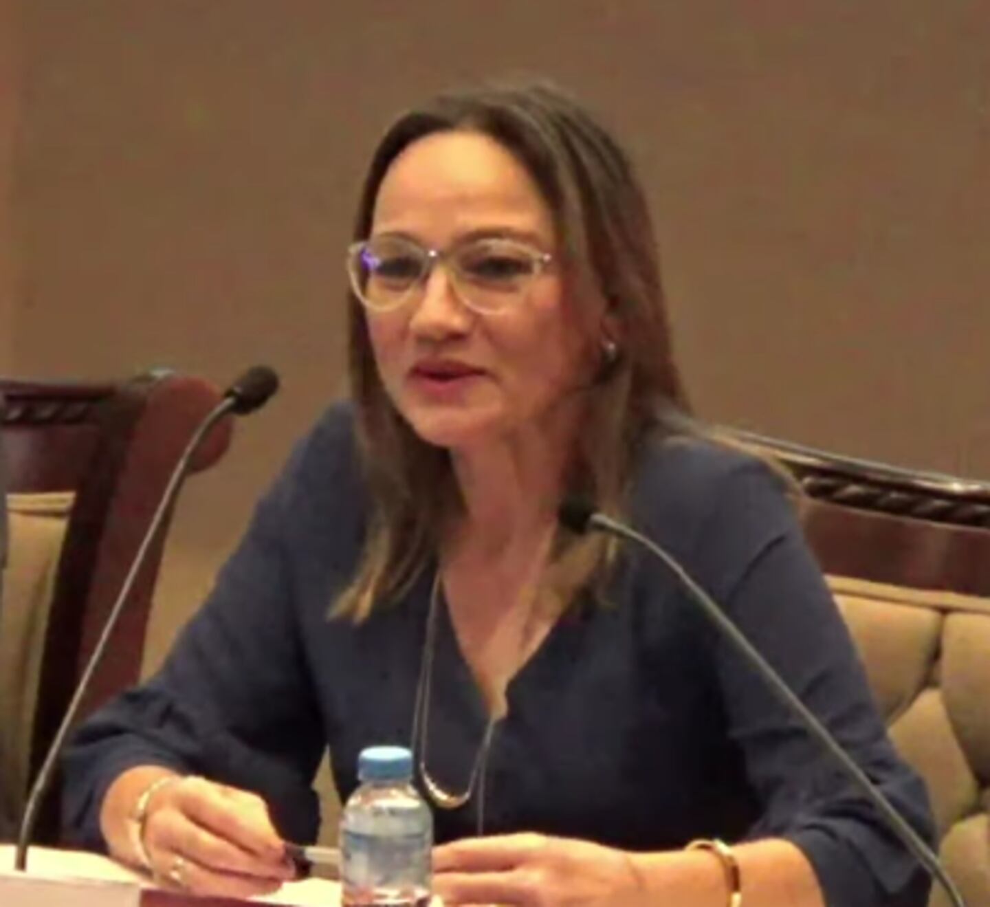 Jueza María Rosa Castro elegida magistrada suplente de Sala I | La Nación