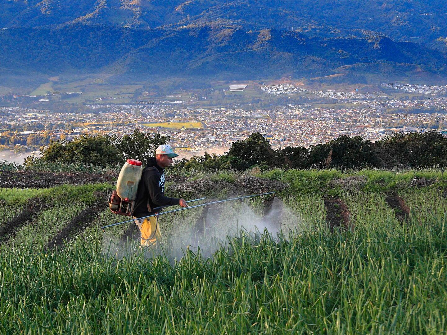 Gobierno amplía prohibición sobre agroquímicos de uso restringido en la ...