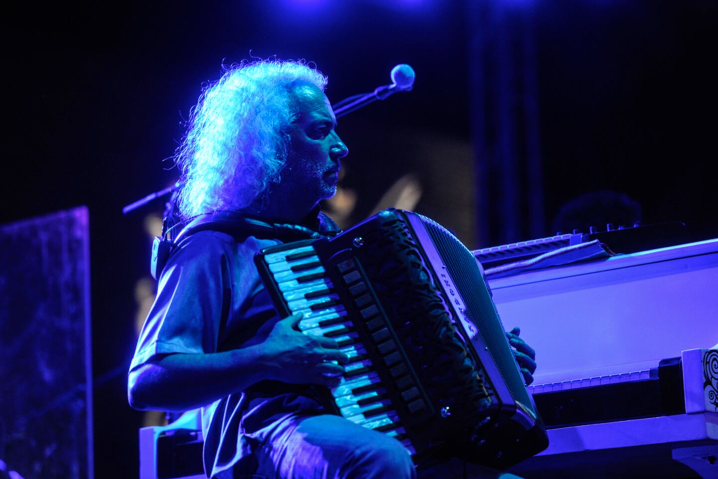 Agenda de música tica: Malpaís, Evolución y calipsonians tienen conciertos | La Nación