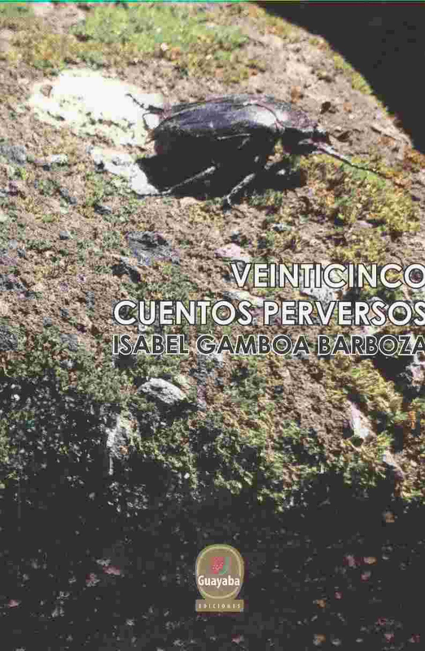 Isabel Gamboa nos brinda veinticinco cuentos perversos | La Nación