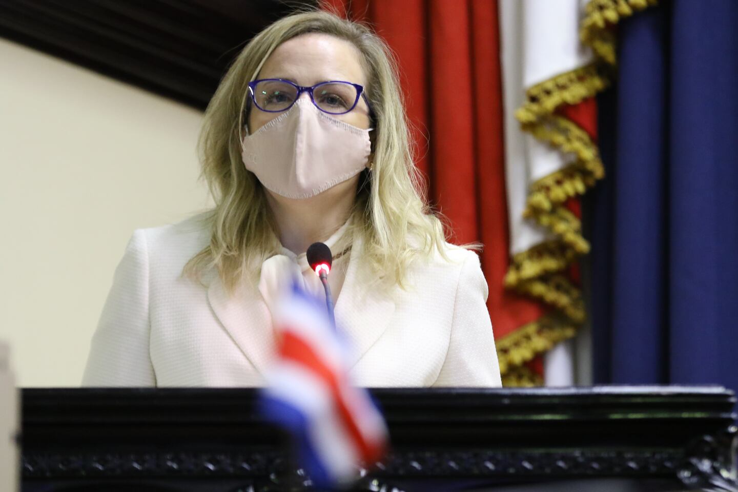 Catalina Crespo se defiende en plenario: ‘La UPAD es el motivo real por ...