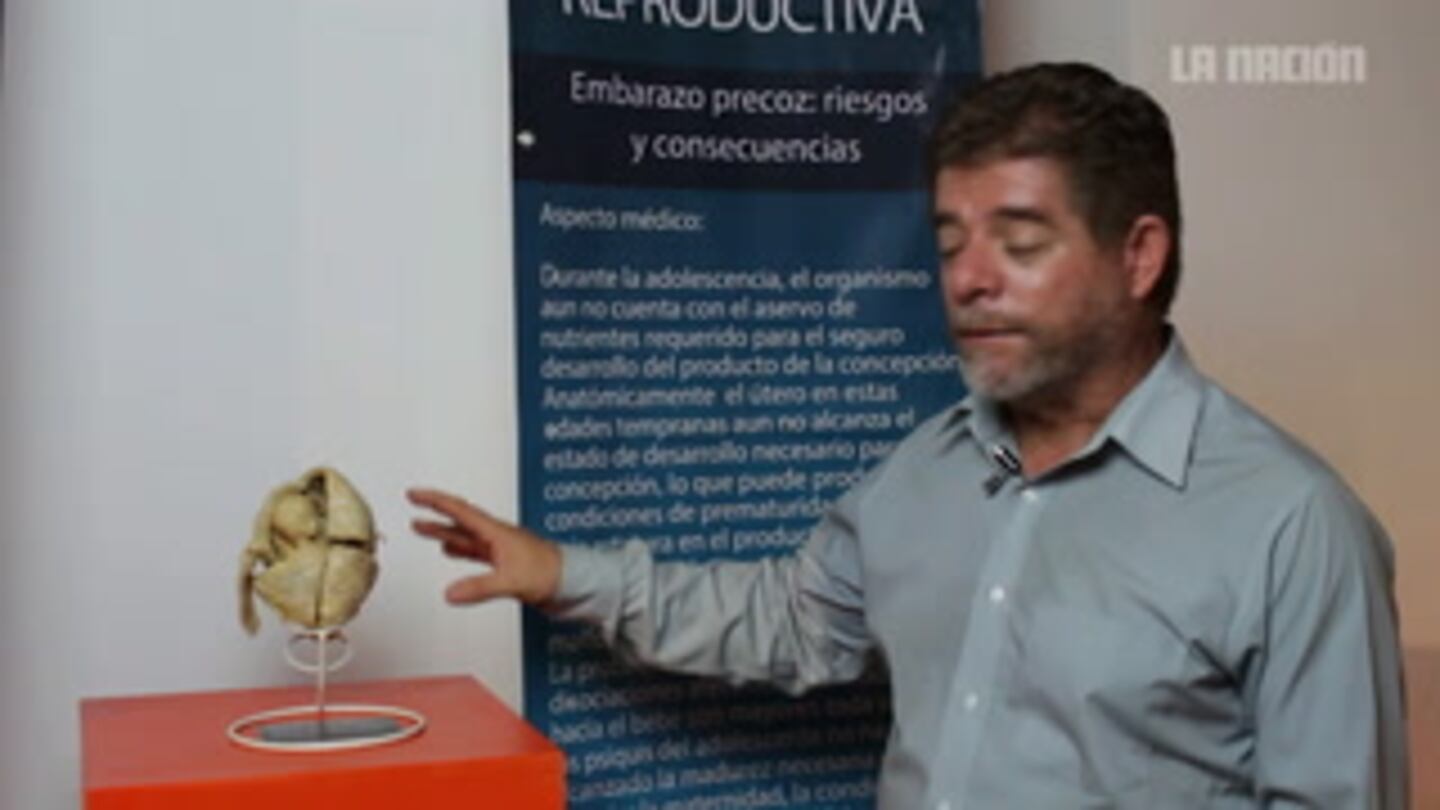 (Video) Feto con 15 semanas de desarrollo | La Nación