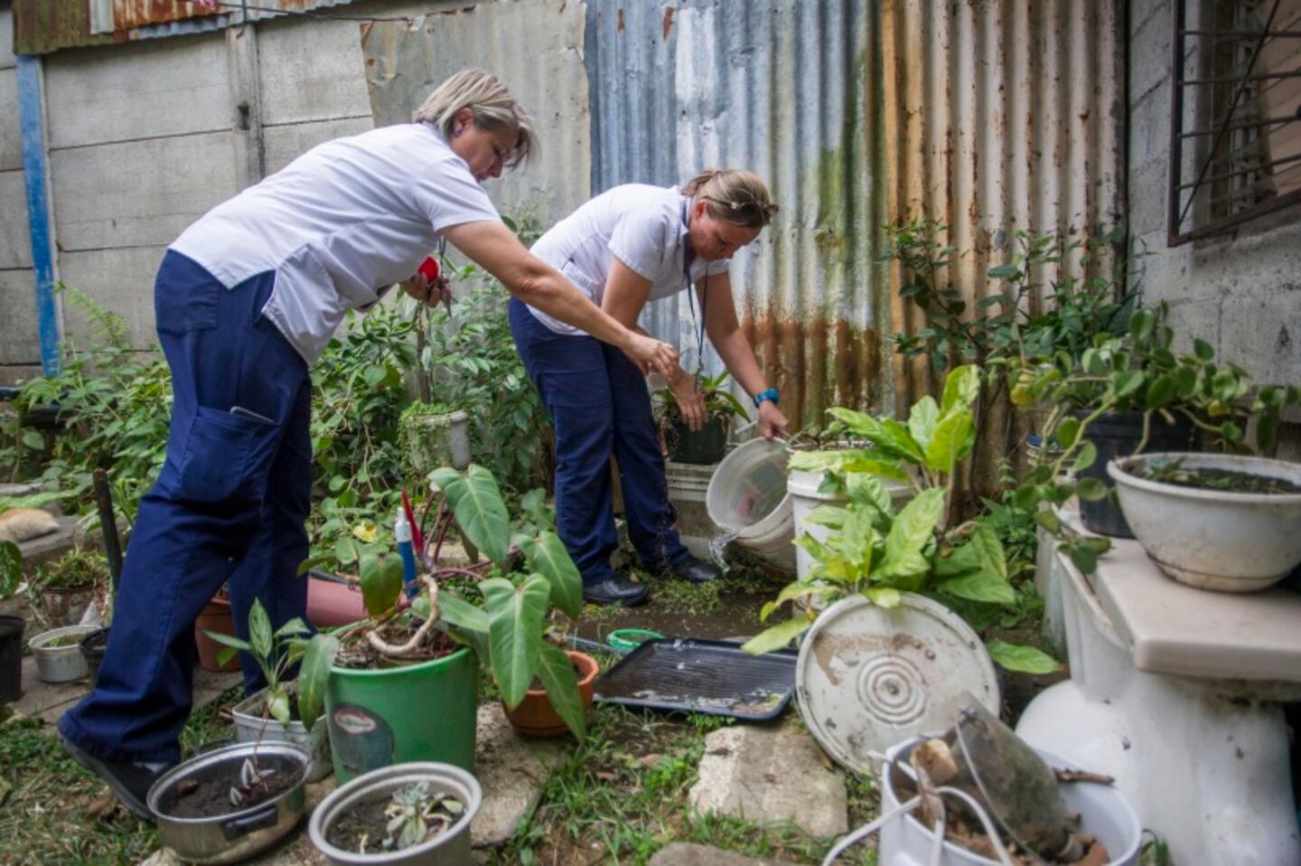 Virus del Zika ya enfermó a más de un centenar de personas en Costa ...