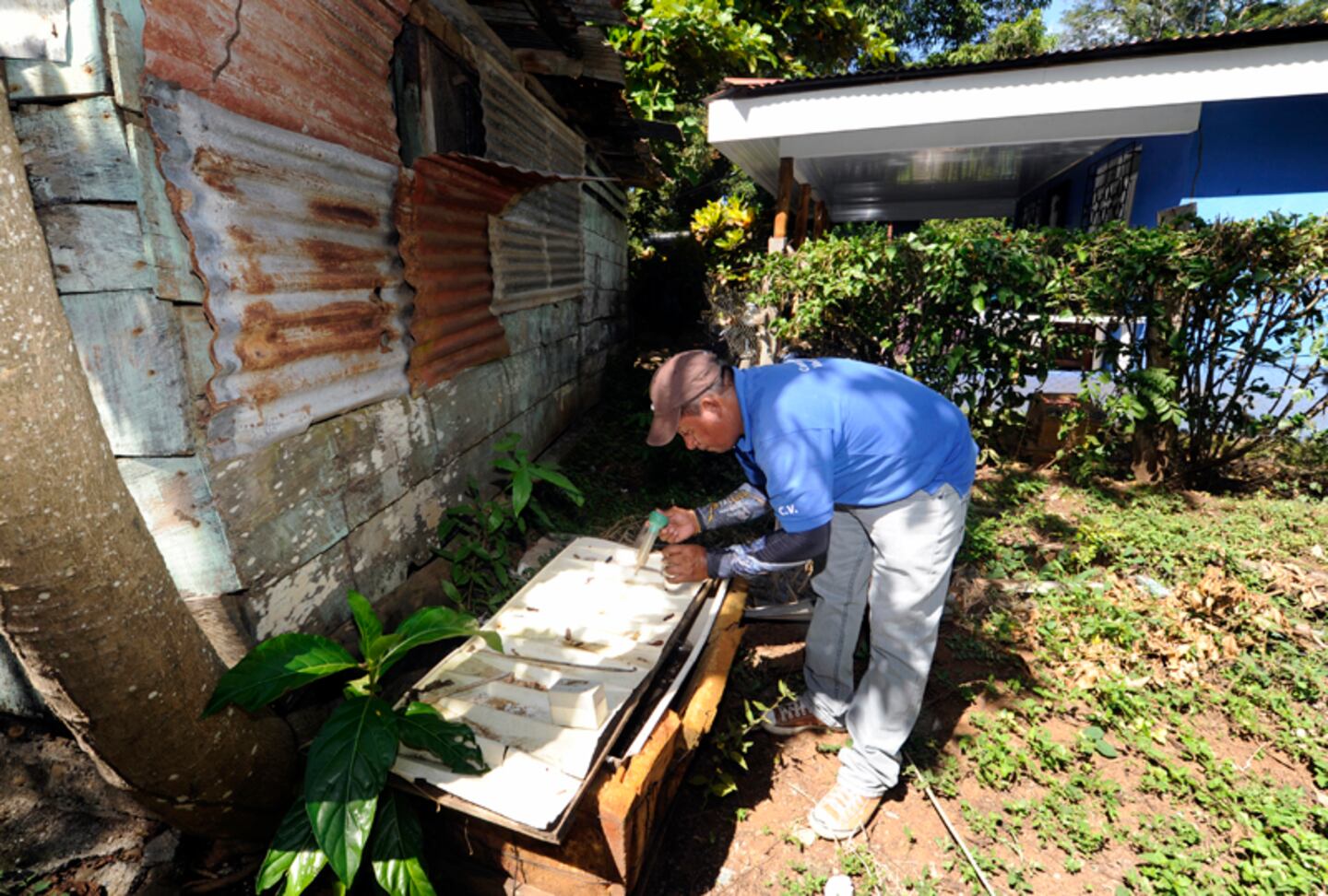 Estadounidense podría ser primer caso autóctono de zika en Costa Rica ...
