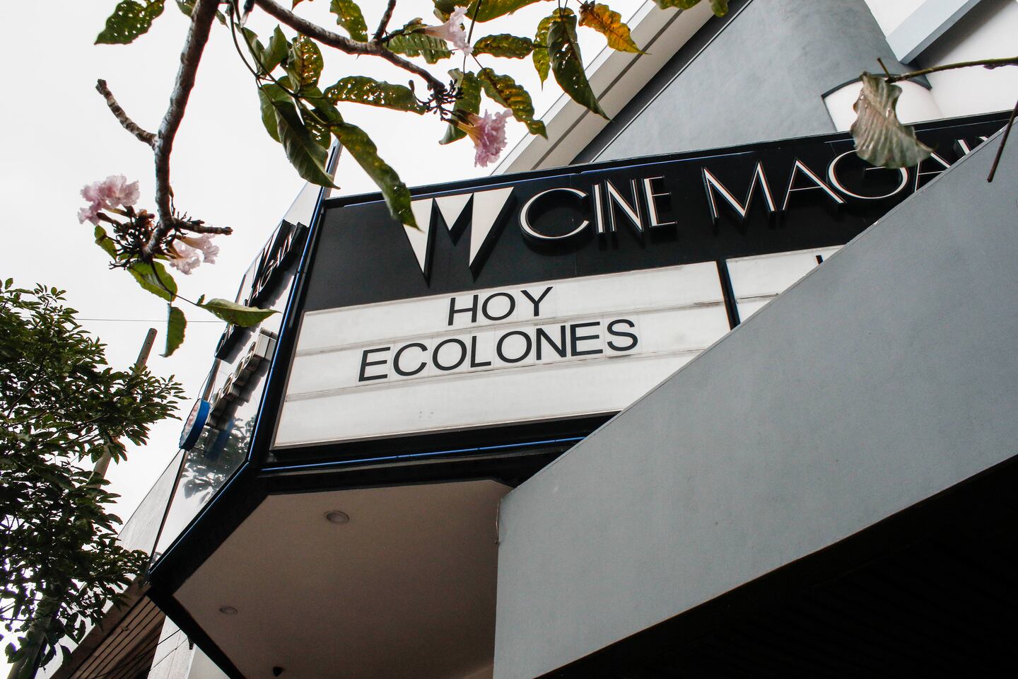 Club Magaly celebra seis años de proyectar lo mejor del cine clásico ...