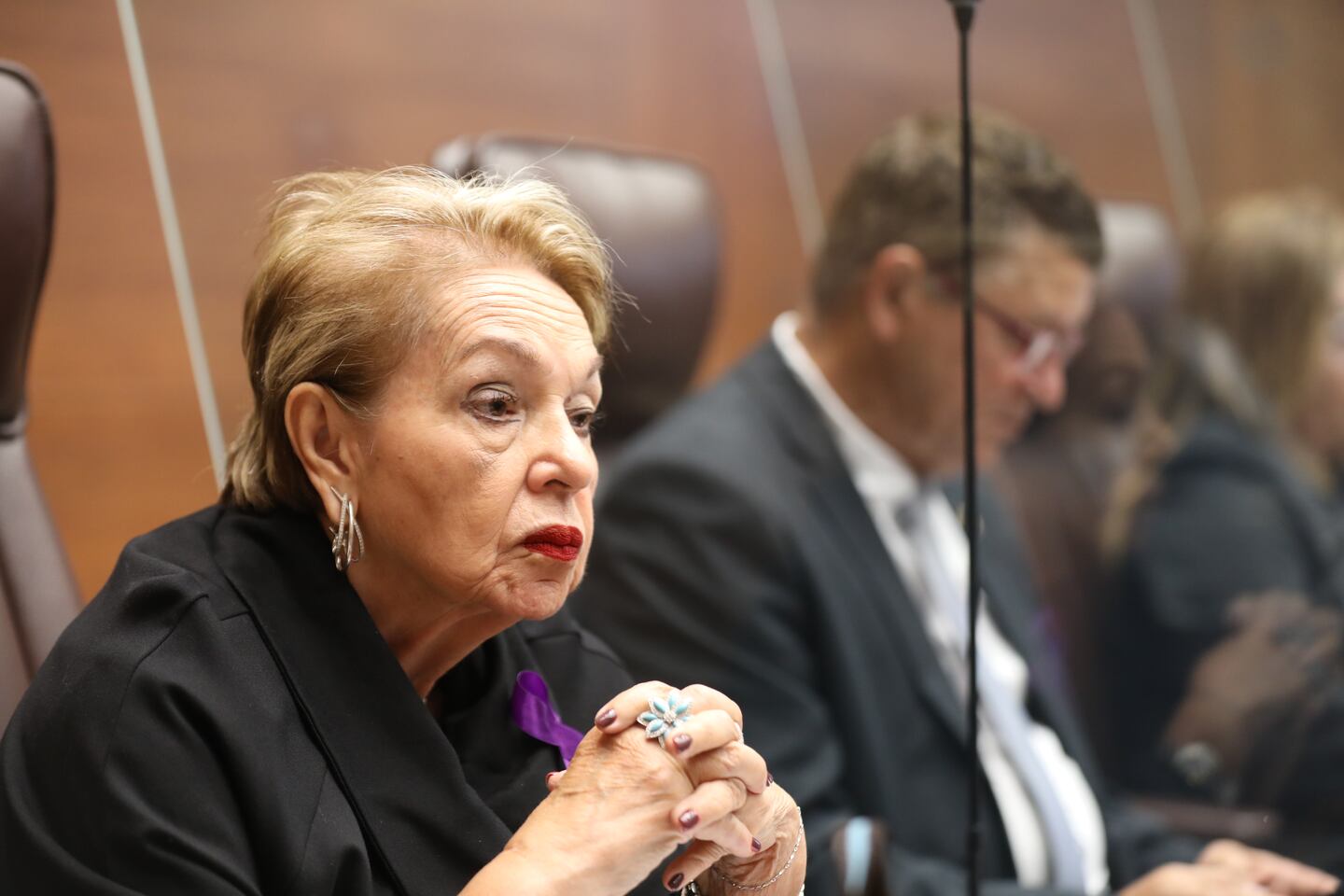 Gobierno y tres partidos buscan sacar a Gloria Navas de presidencia de ...