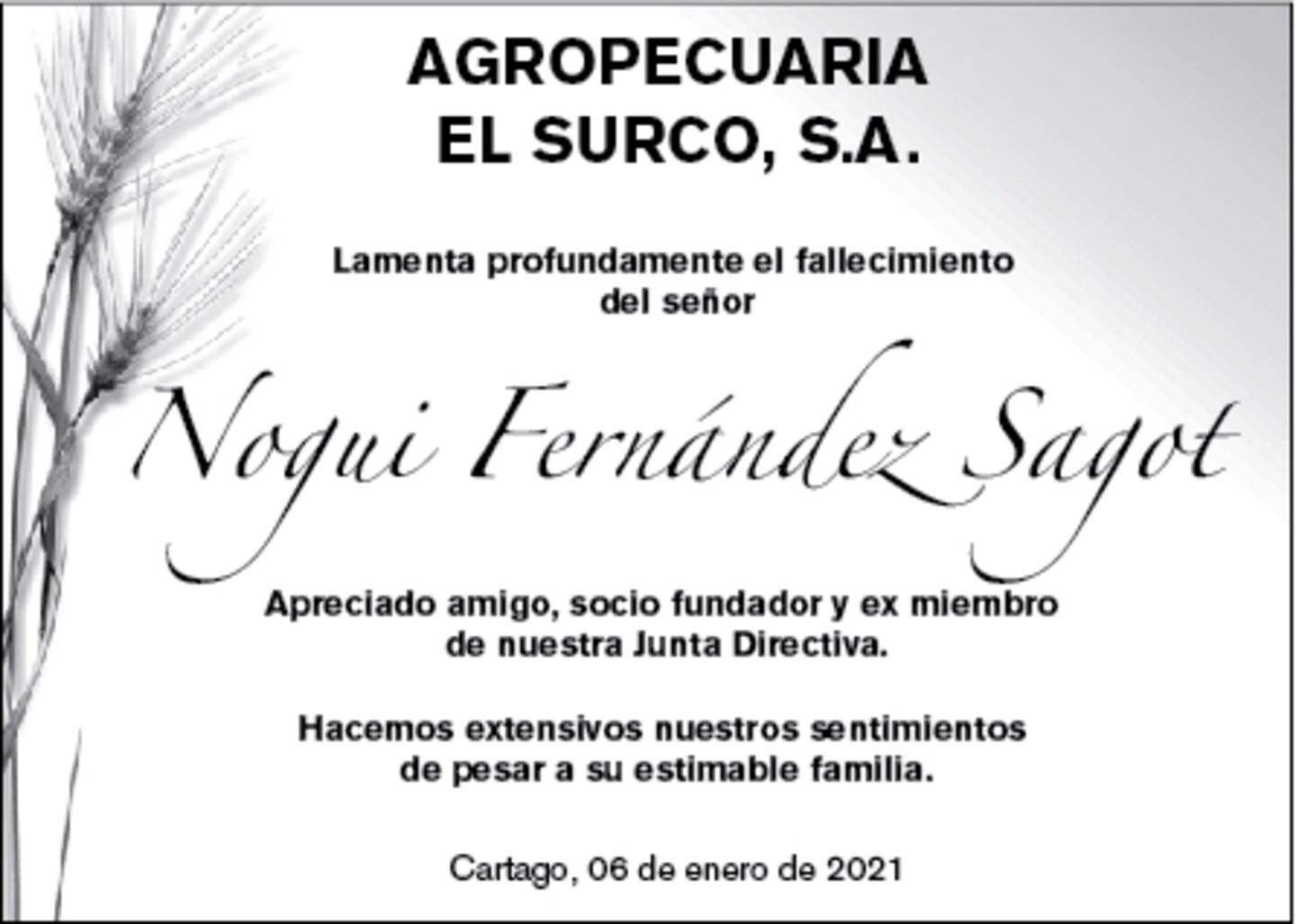 Nogui Fernández Sagot | La Nación