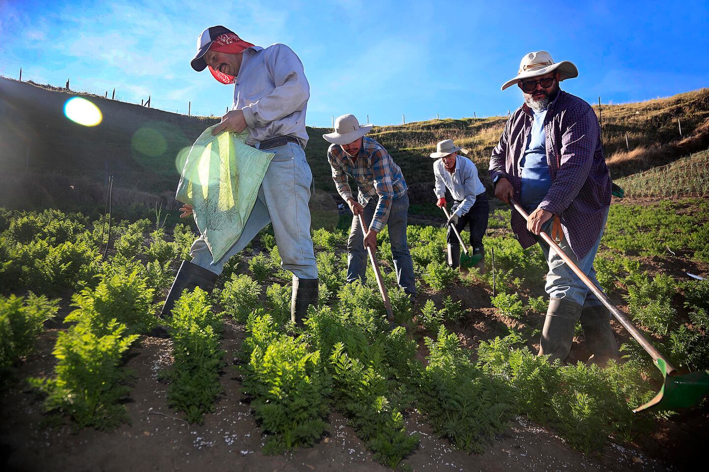 Cuatro mayores motores de empleo en Costa Rica están estancados | La Nación