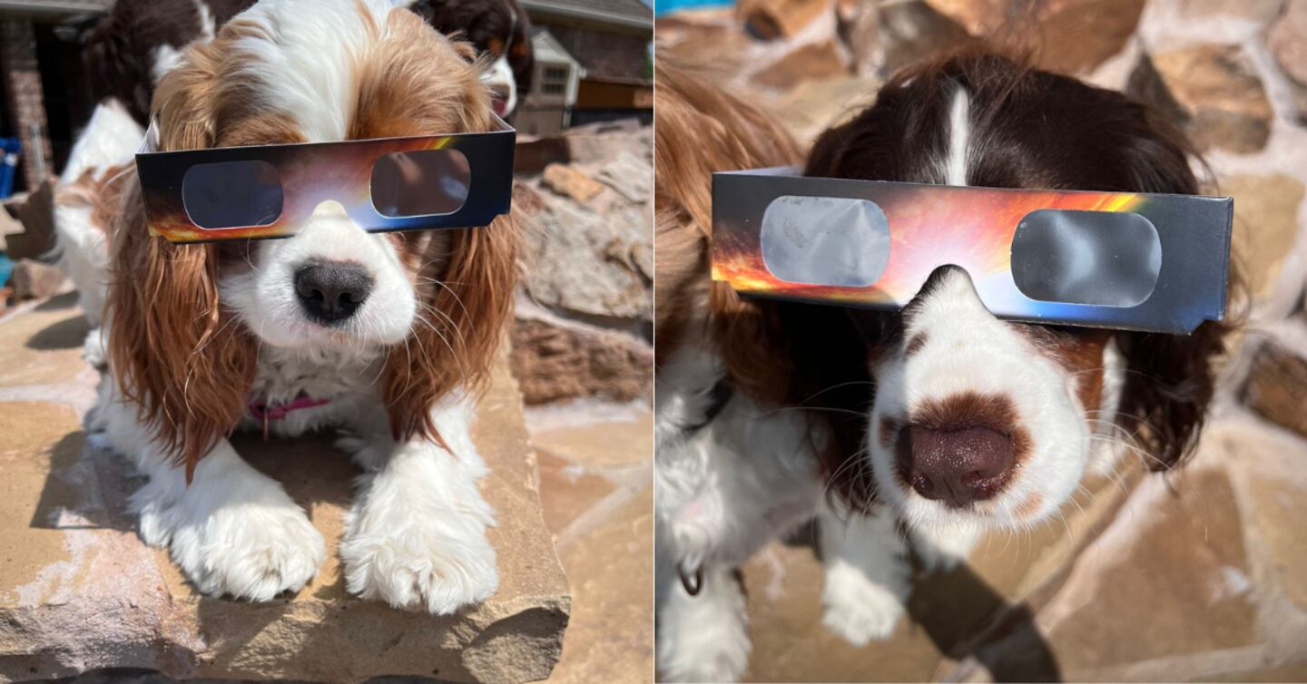 Vea los mejores memes sobre el eclipse solar | La Nación