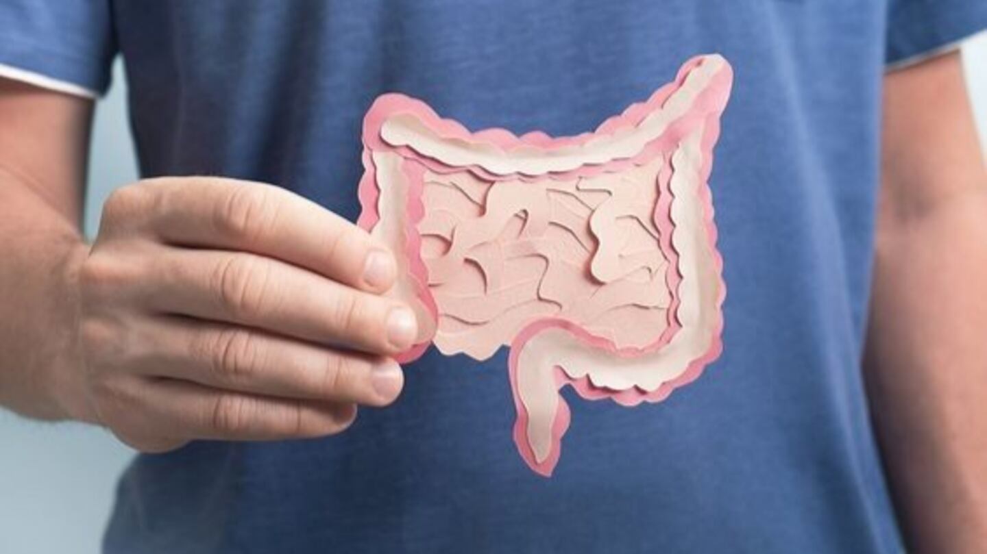 ¿Cuántas veces se debe defecar al día para mejorar la salud? | La Nación