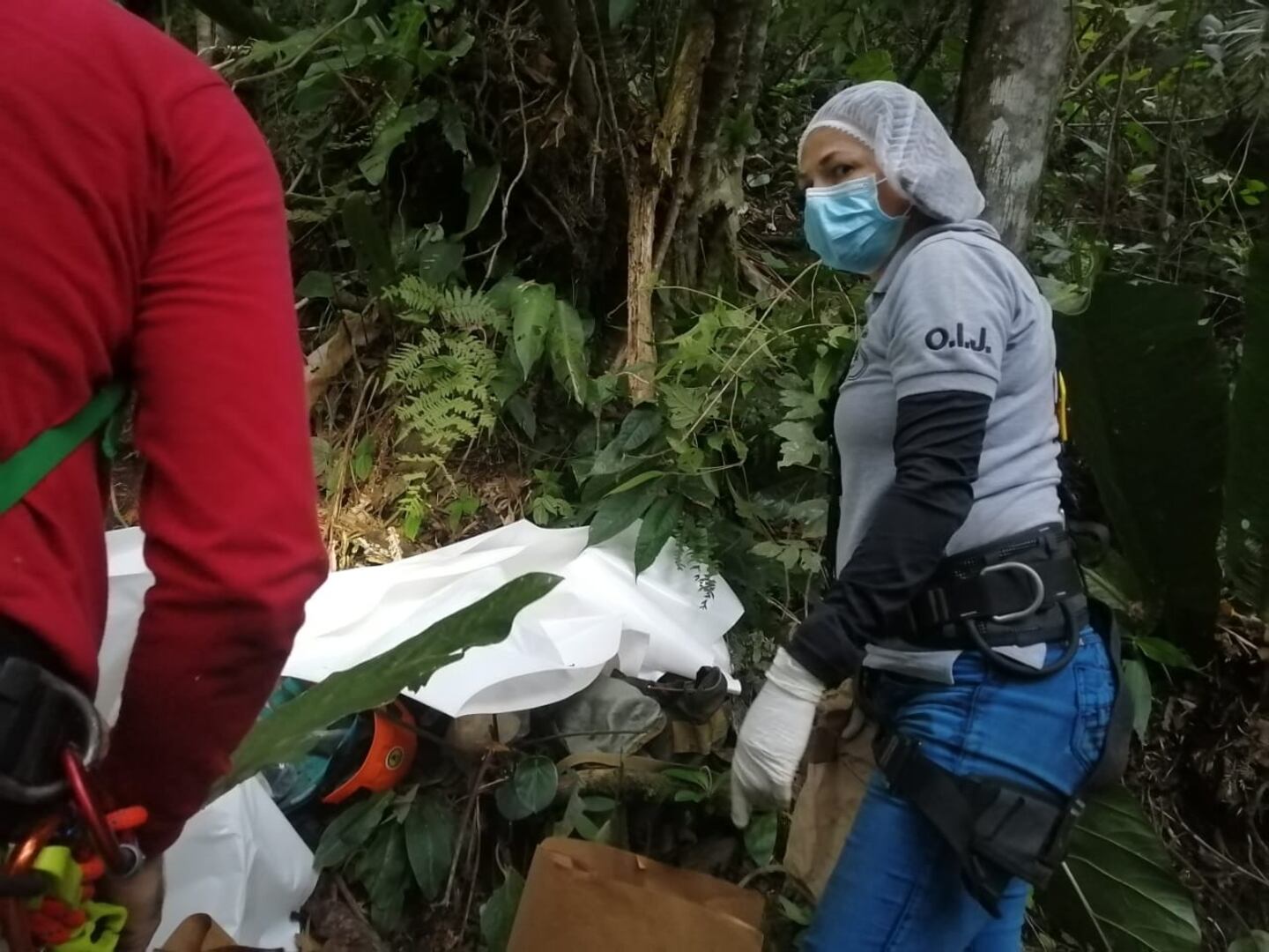 Caso de Allison Bonilla: Hallan una vértebra y dos costillas en ...