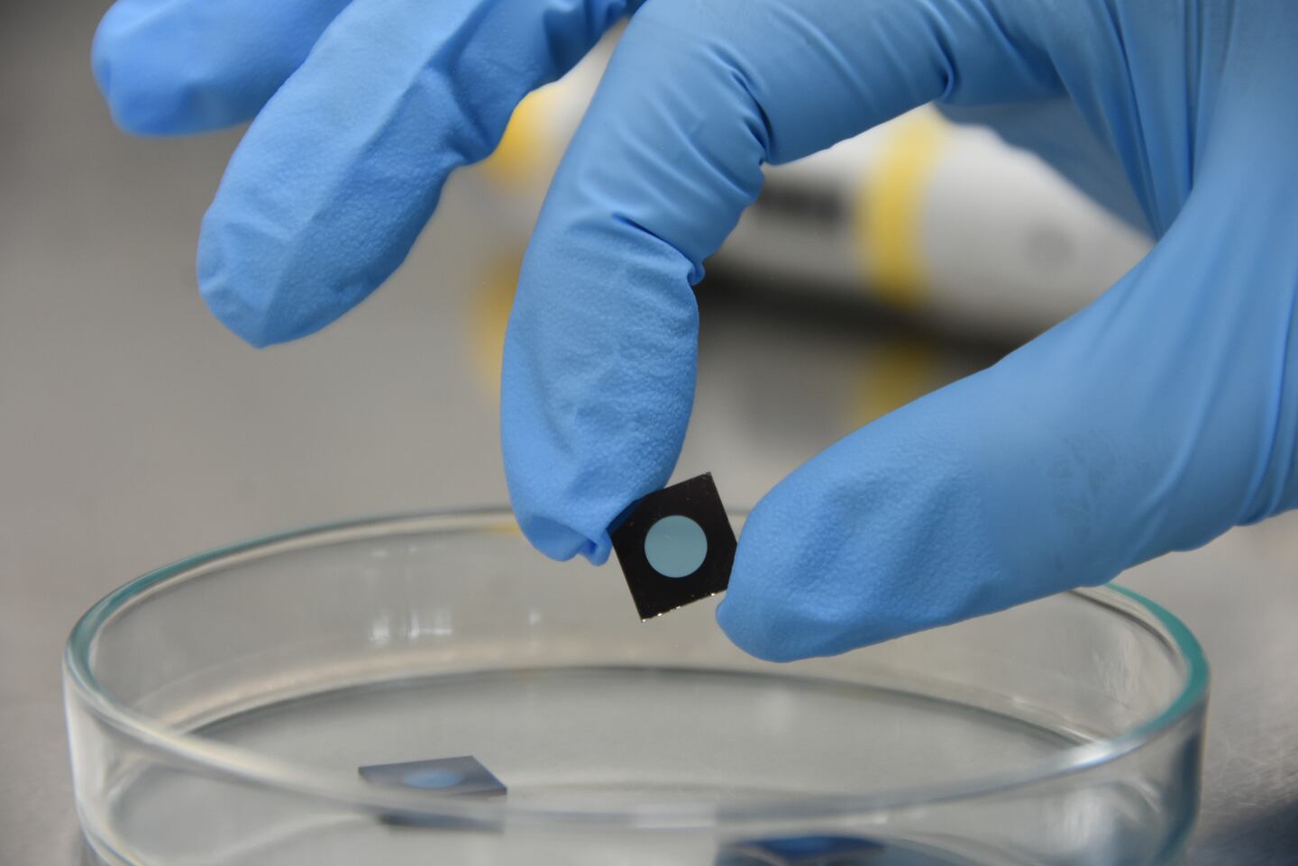 El progreso no depende solo de los microchips | La Nación