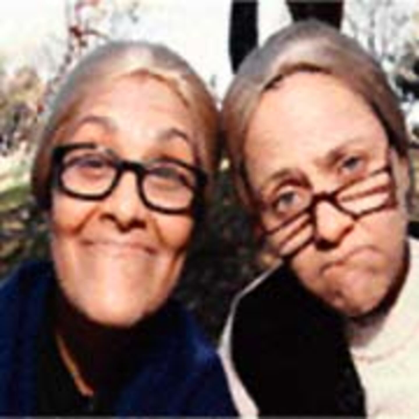 Un gallito pinto a Dios | La Nación