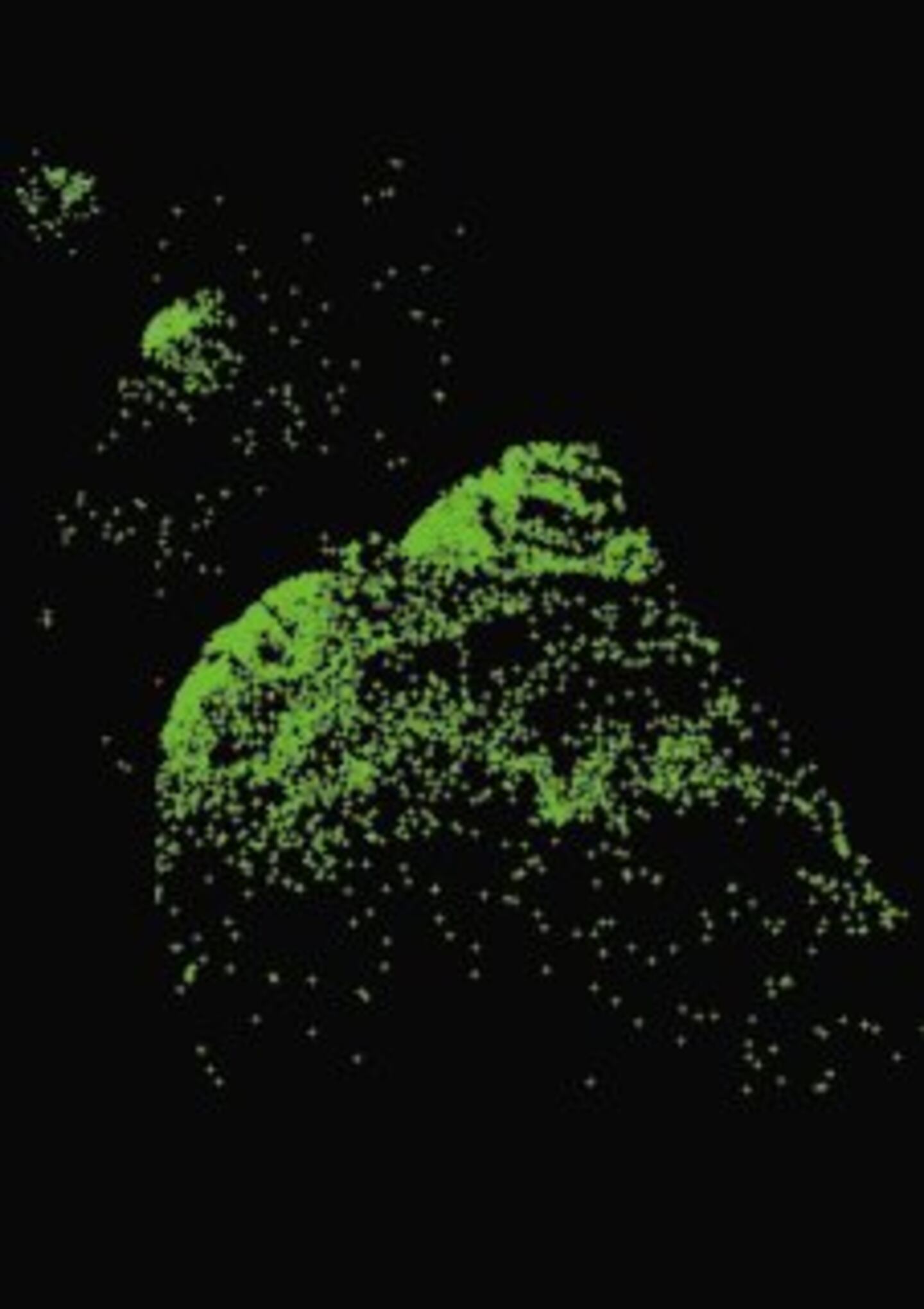 Microbicida protege a monos del virus del sida | La Nación