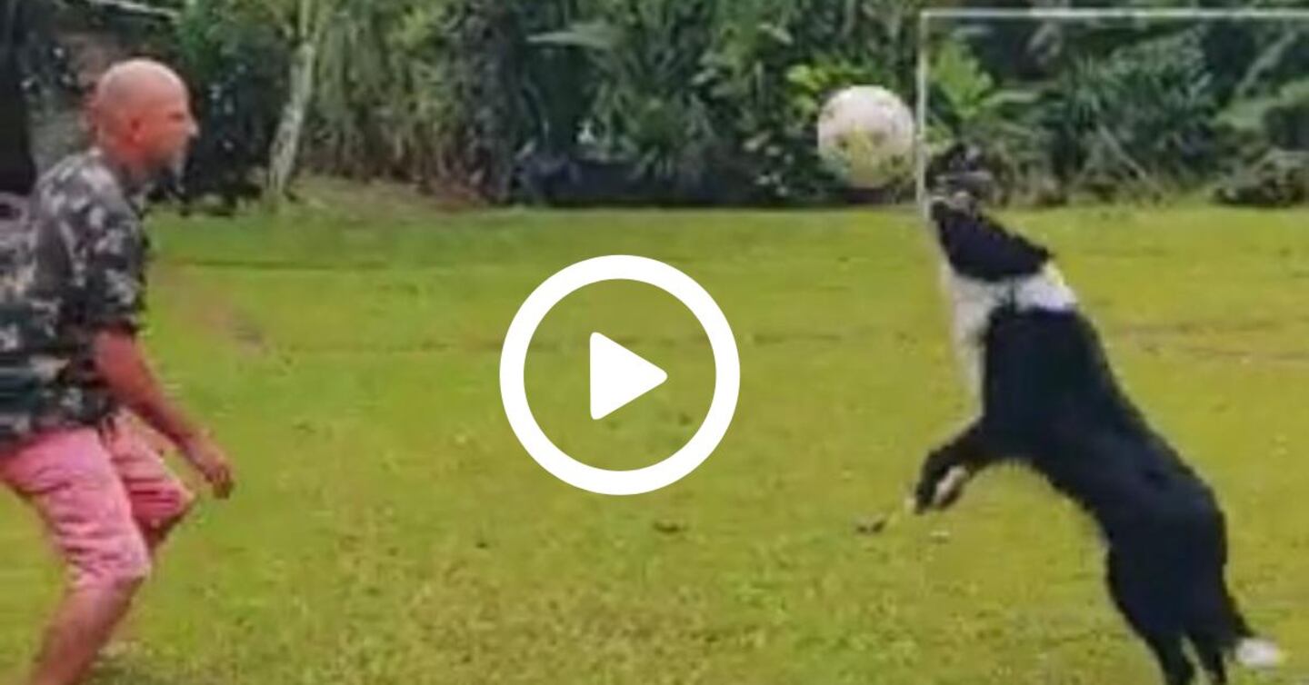 Ex volante de Herediano y Alajuelense Kenneth Paniagua muestra en un ...