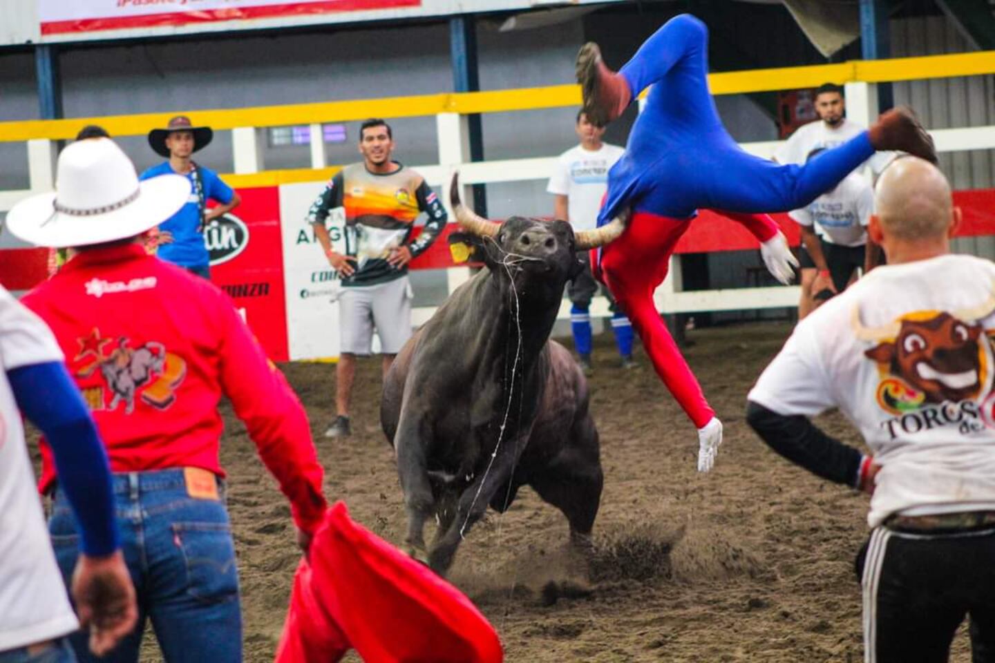 ¿Cuándo empiezan los toros en Costa Rica? Estos son los horarios y ...