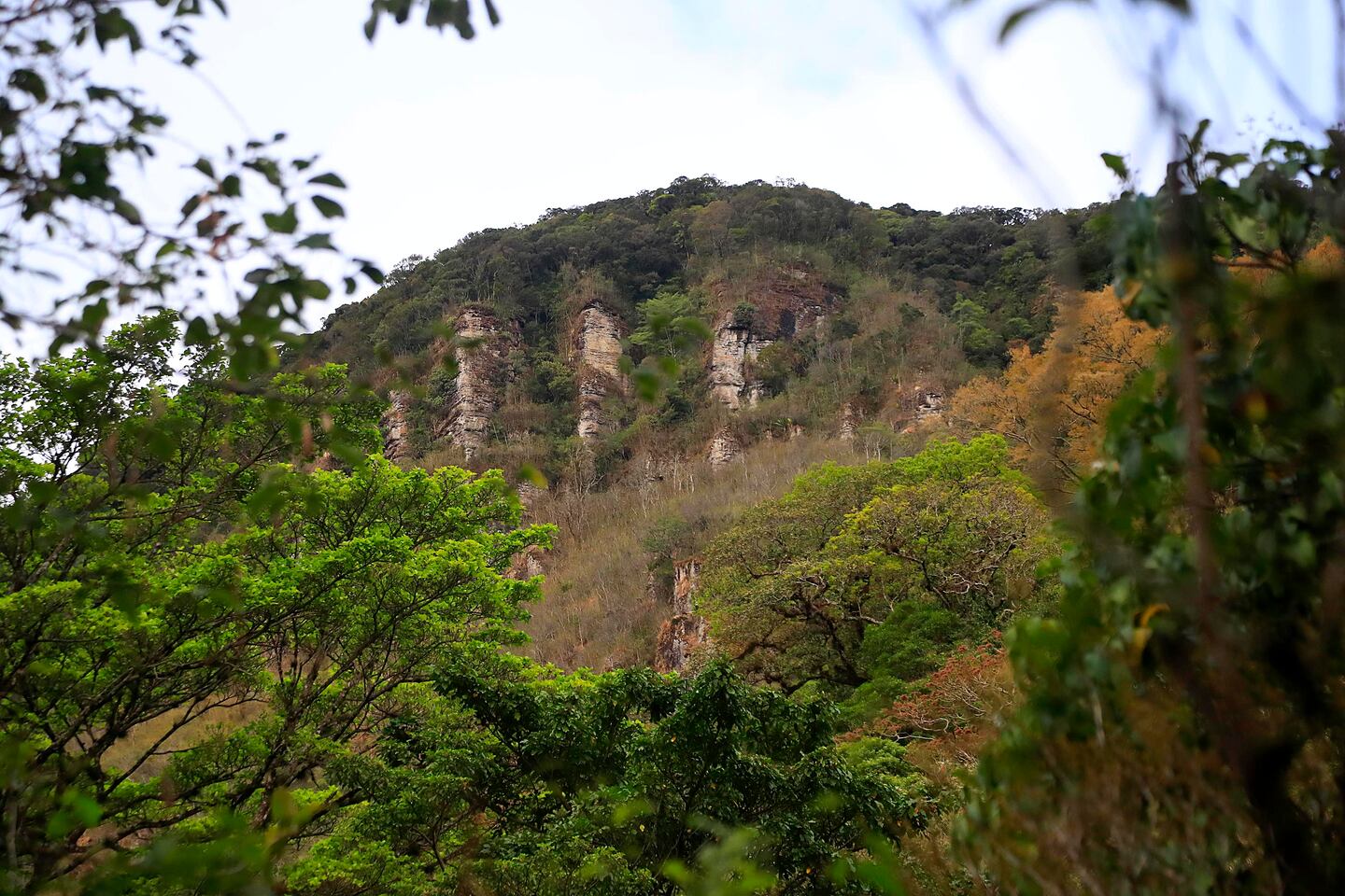 Una buena caminata le permitirá prepararse para el ascenso al cerro ...