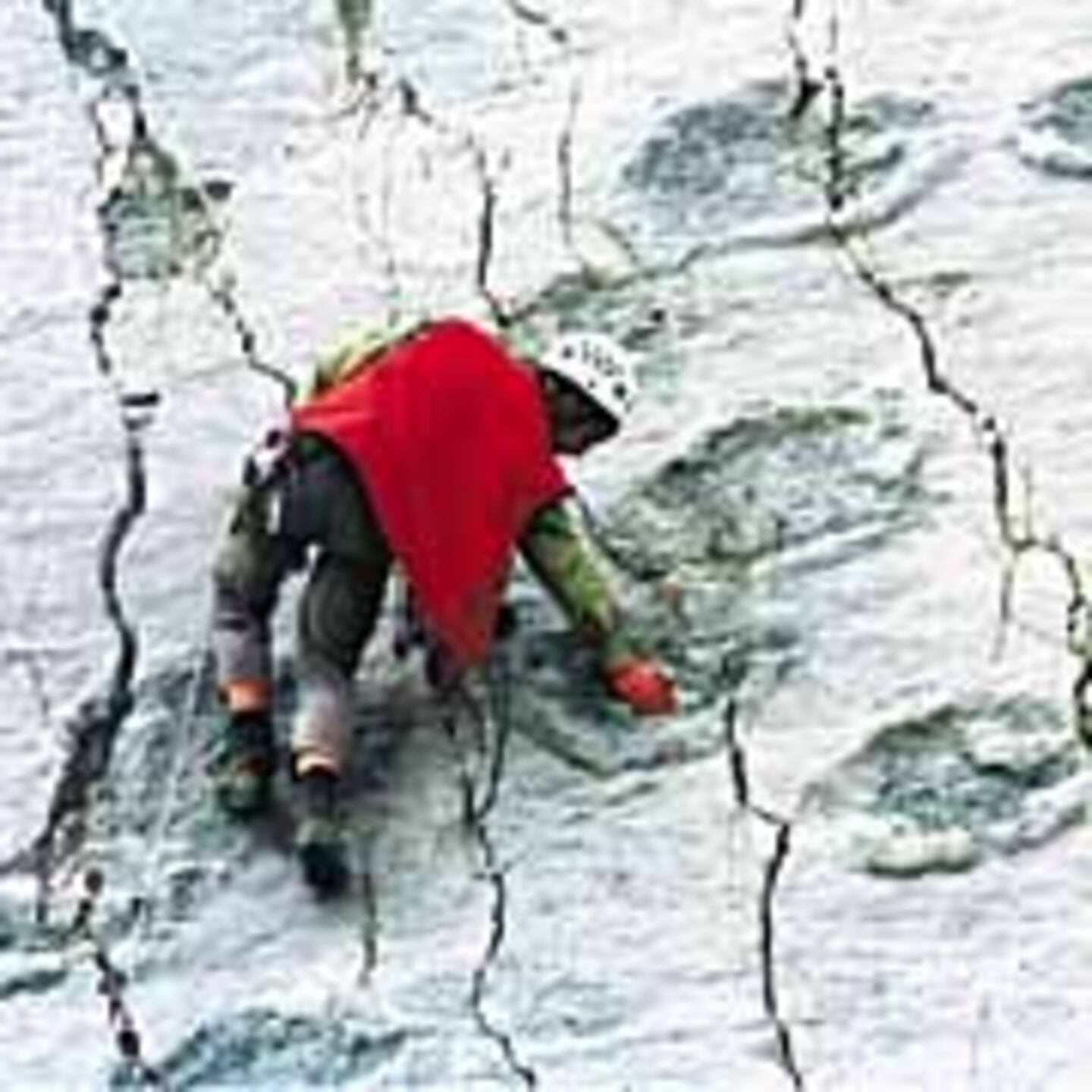 Pisadas que alborotan | La Nación