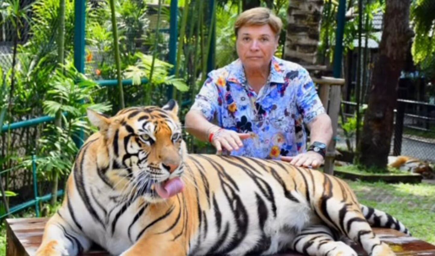 Boris Marchegiani, empresario de las polémicas vallas, pasó por 4 ...