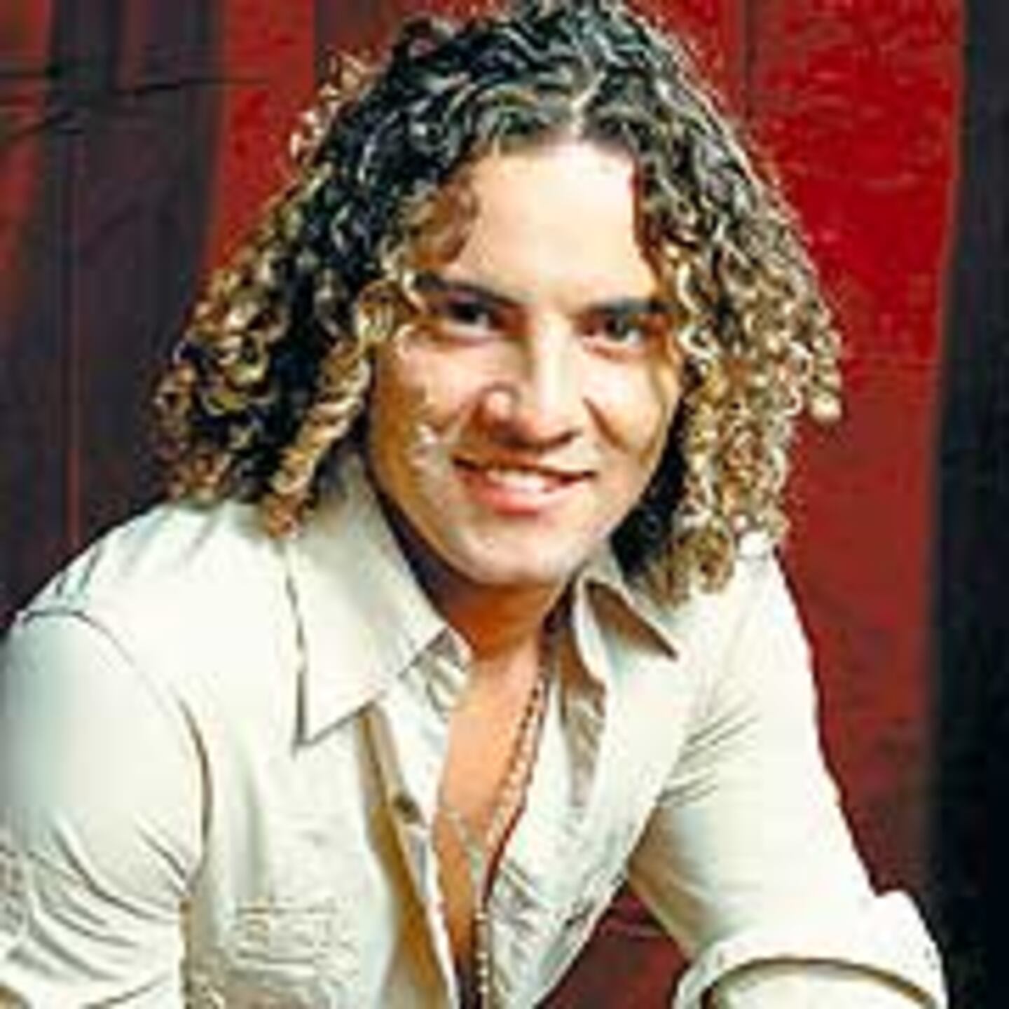 La Bulería de David Bisbal | La Nación