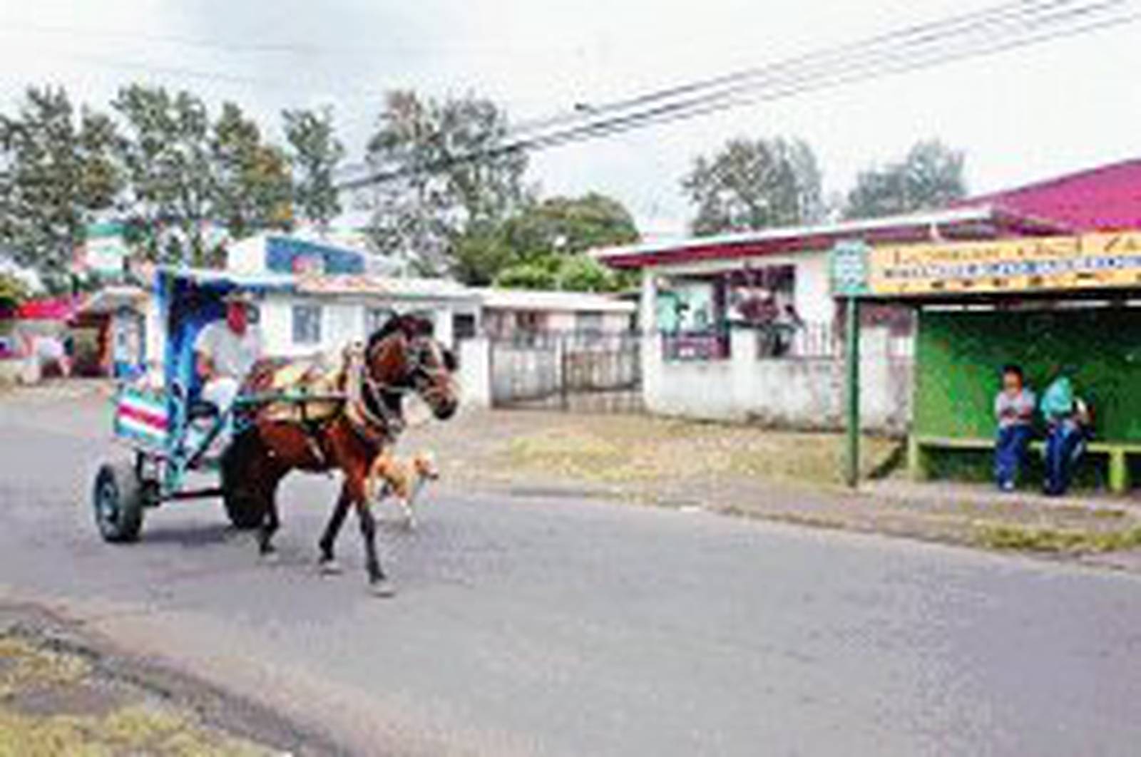 Un lechero del siglo pasado | La Nación